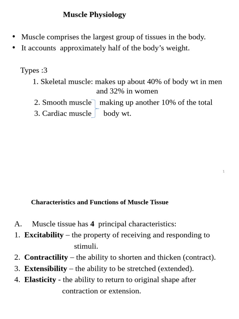 Muscle Physiology and Contraction Mechanism | PDF | Muscle Contraction ...