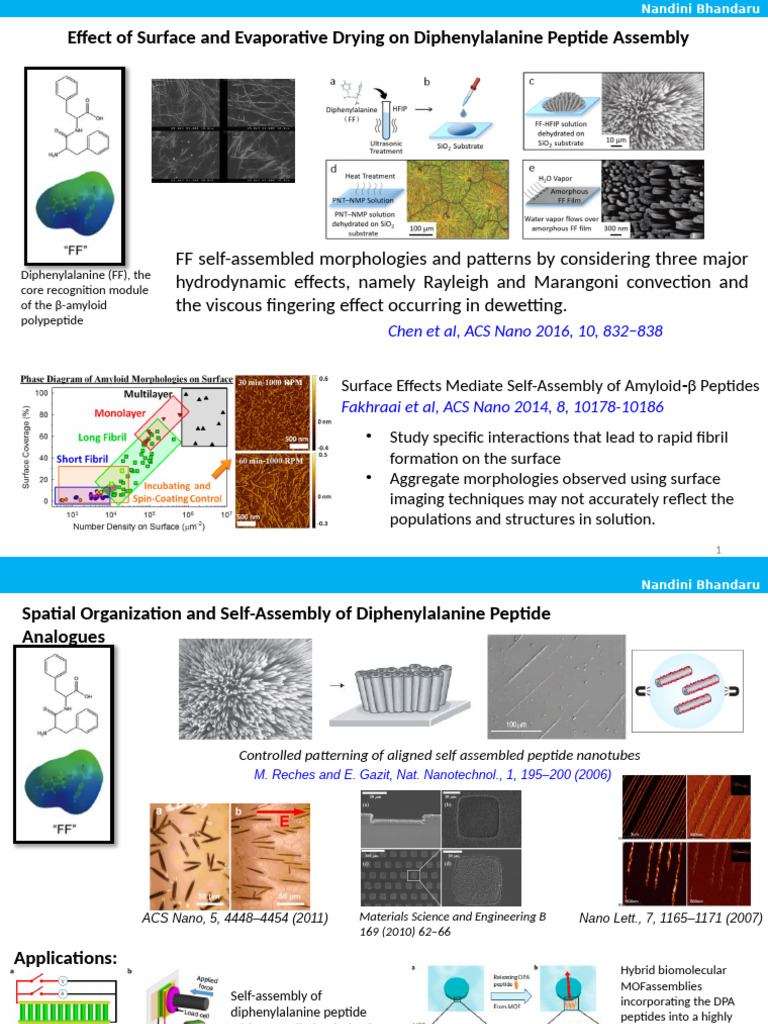 Few Slides On Peptides | PDF | Self Assembly | Peptide