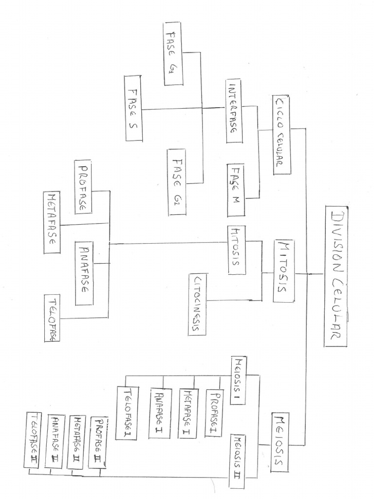 Carpio Kevin Tarea3 | PDF
