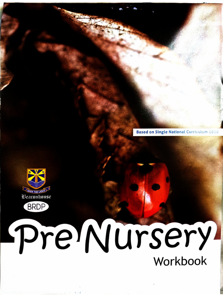Pre Nursery Workbook | PDF