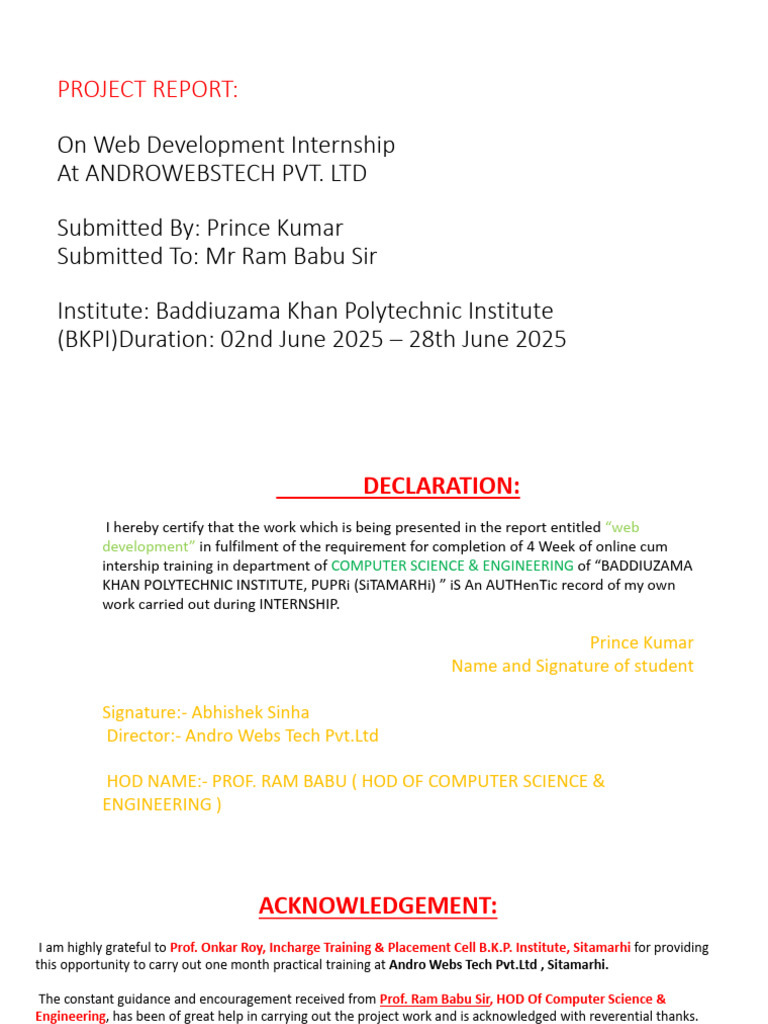 Web Development Internship Report | PDF | World Wide Web | Internet & Web