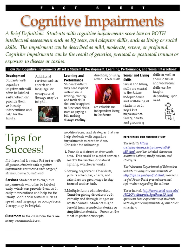 CEP840 Fact Sheet | PDF | Visual Impairment | Developmental Disabilities