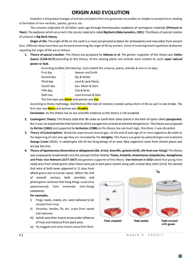 Origin and Evolution 2 | PDF