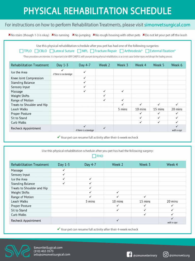 BACK+ +Rehab+Schedule | PDF