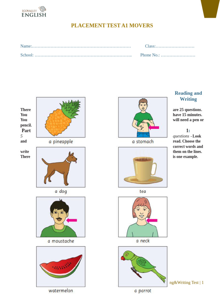 A1 Movers Placement Test Guide | PDF
