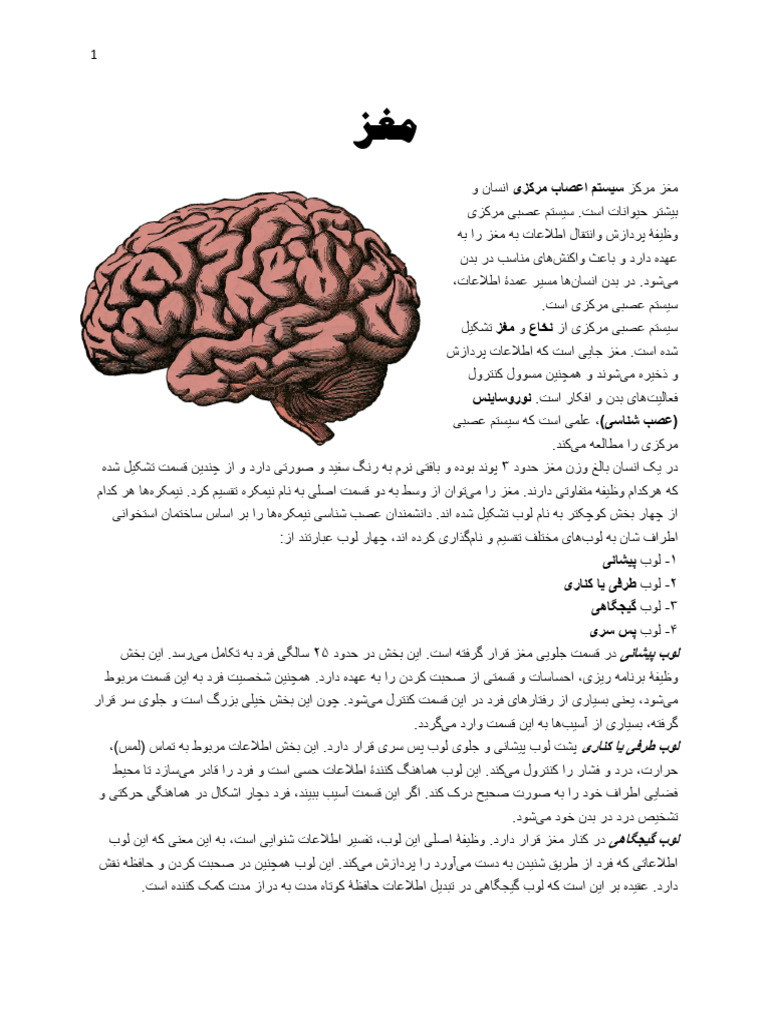 The Brain Uploaded | PDF
