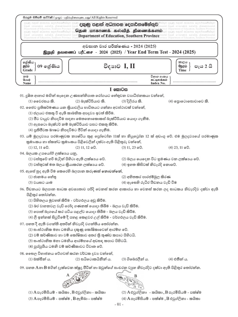 Grade 09 Science 3rd Term Paper Southern Province SM (1) | PDF