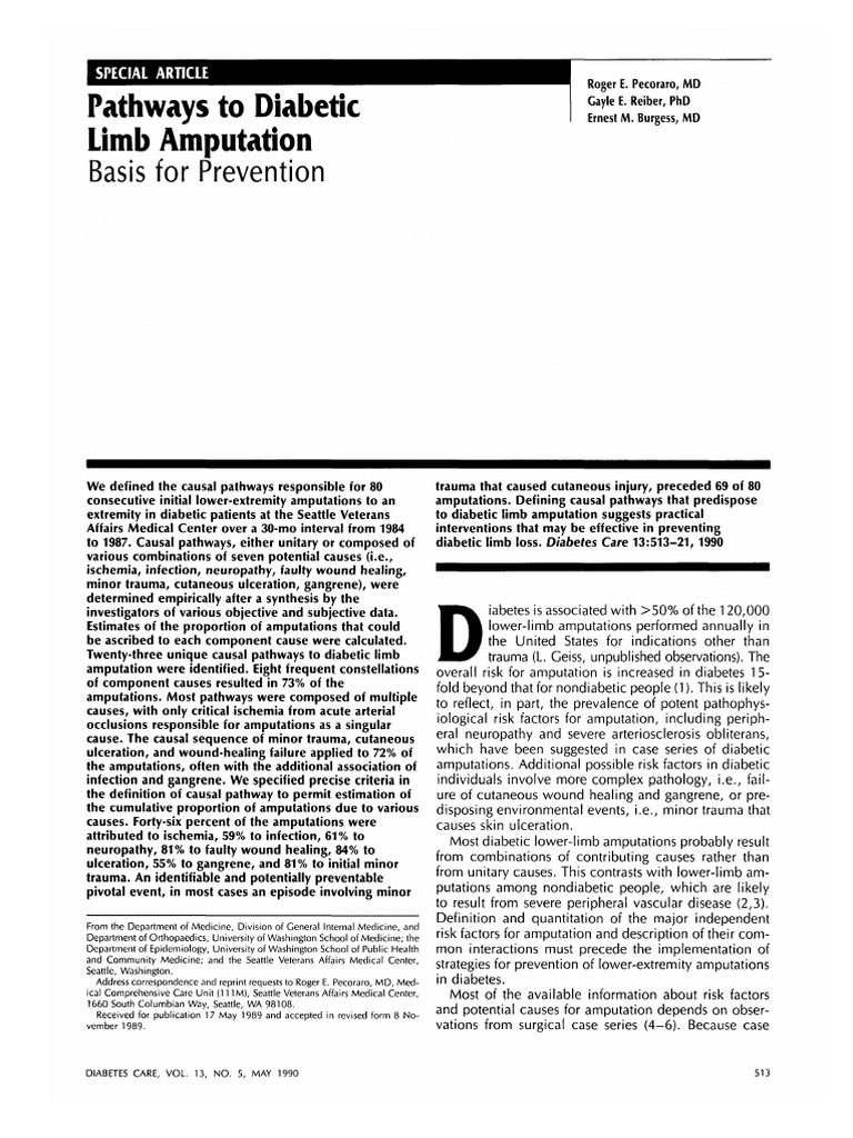 Pathways to Diabetic Limb Amputation. Basis for Prevention. | PDF ...