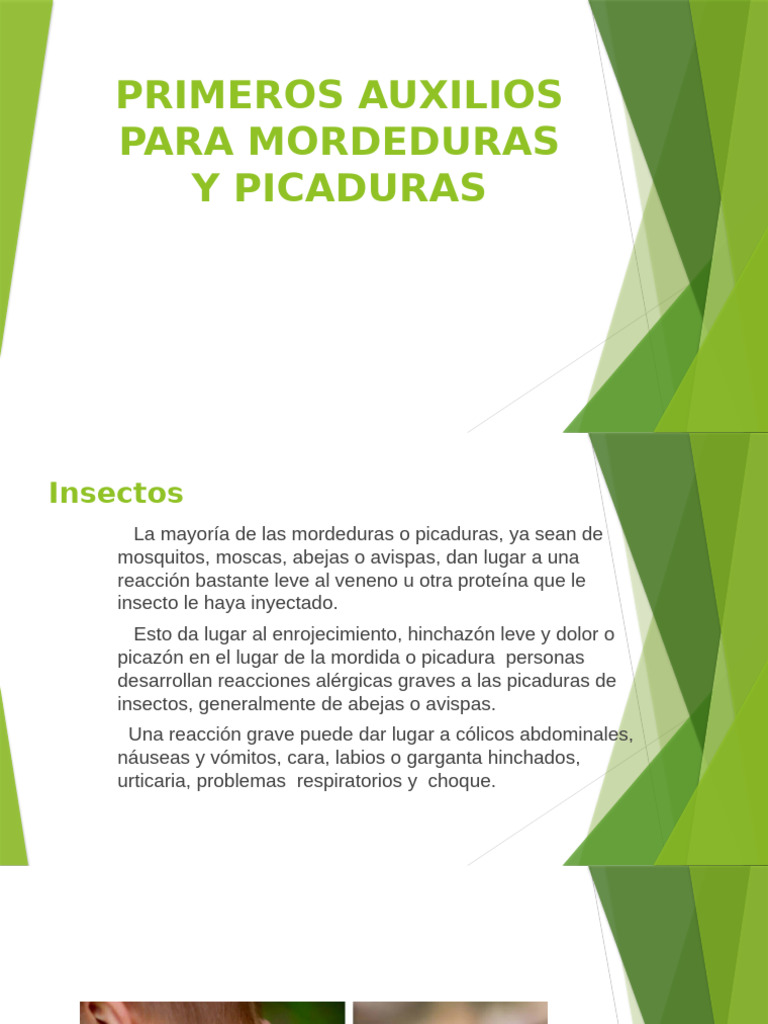 15 Actv Mordeduras y Picaduras | PDF | Araña | Serpiente
