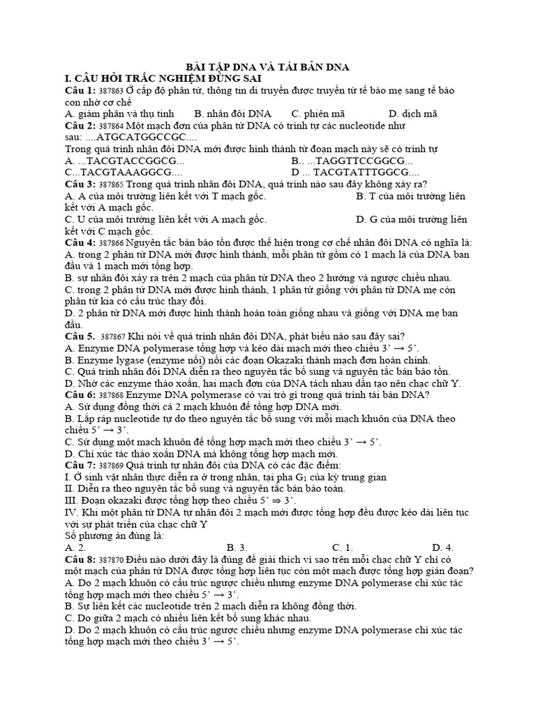 Bt Dna Và Tái Bản Dna | PDF