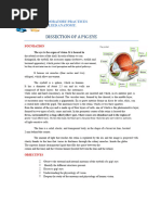 Sheep Eye Dissection Lab Guide | PDF | Eye | Facial Features