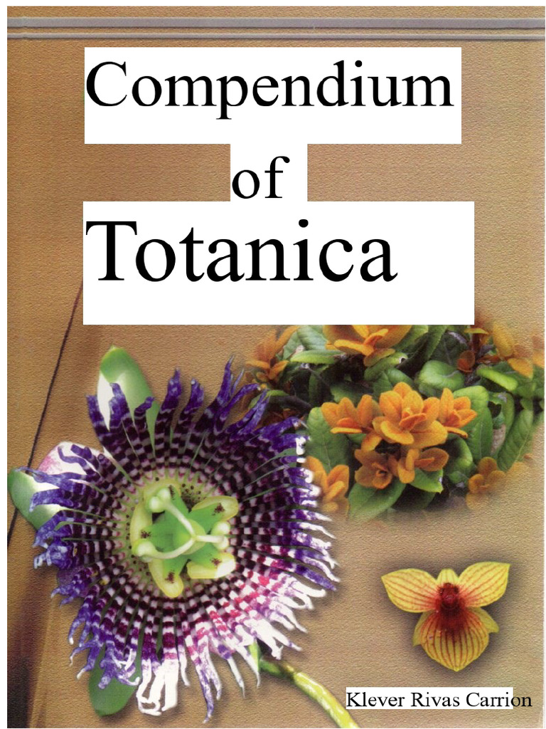 Compendium of Botany | PDF | Plant Stem | Leaf
