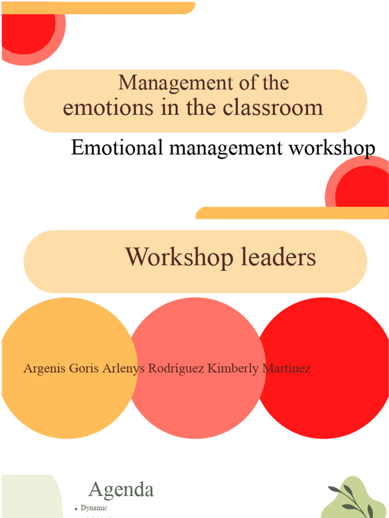 Slide Workshop On Managing Emotions in The Classroom | PDF | Emotions ...