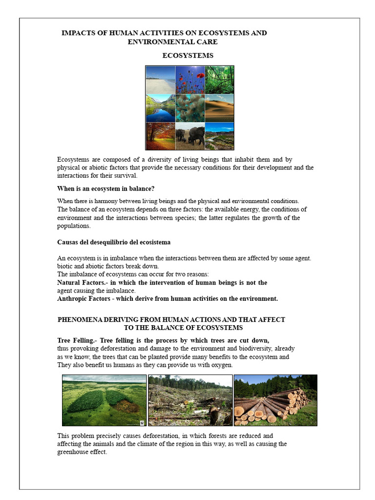 Impacts of Human Activities On Ecosystems and Environmental Care | PDF ...