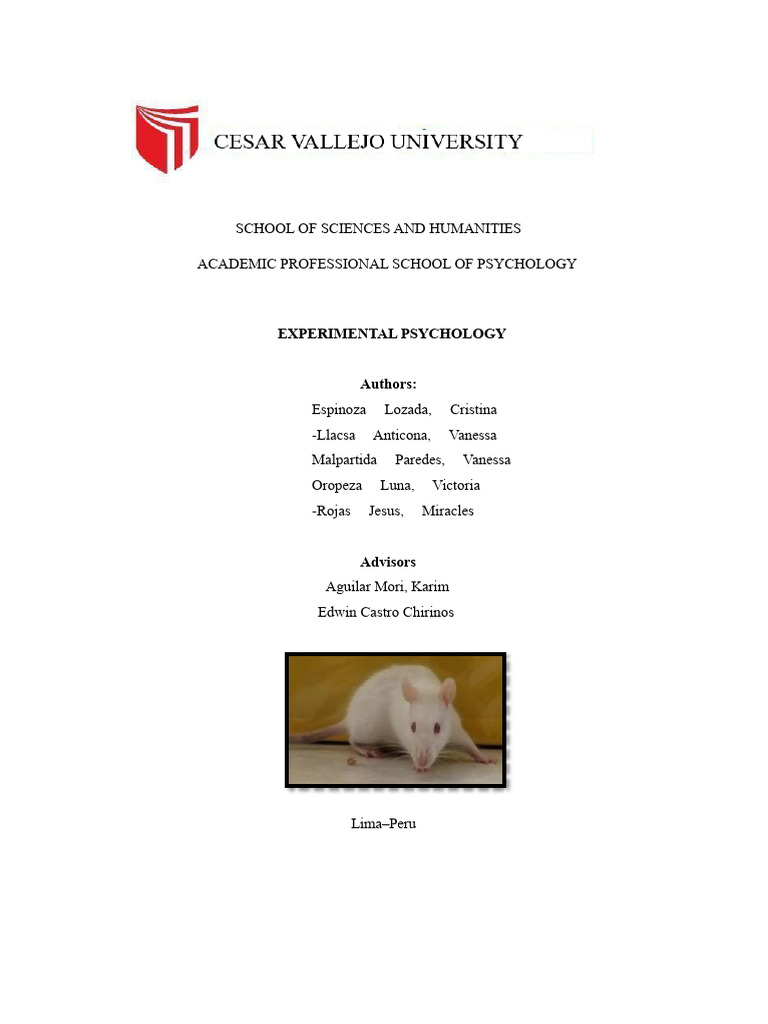 Experimental Research BEE FINAL | PDF | Reinforcement | Behavioural ...