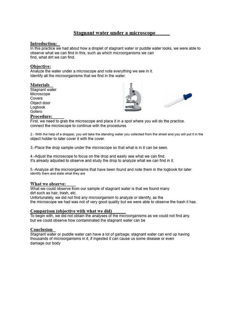 Stagnant Water Under A Microscope | PDF