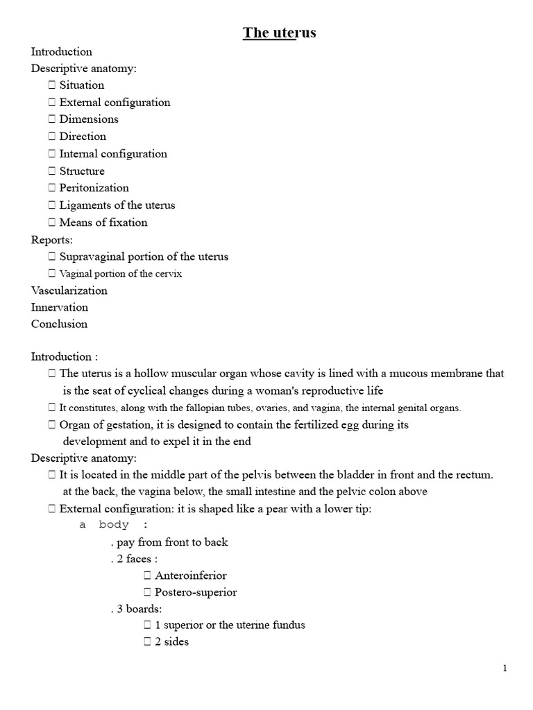 Uterus Anatomy and Function Explained | PDF | Uterus | Ovary