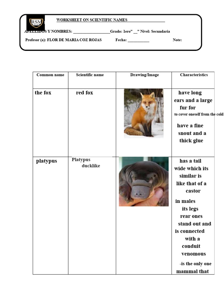 Scientific Names Worksheet for Students | PDF | Organisms | Botany