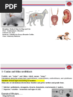 IRIS CKD Staging Guide for Dogs and Cats | PDF | Chronic Kidney Disease ...