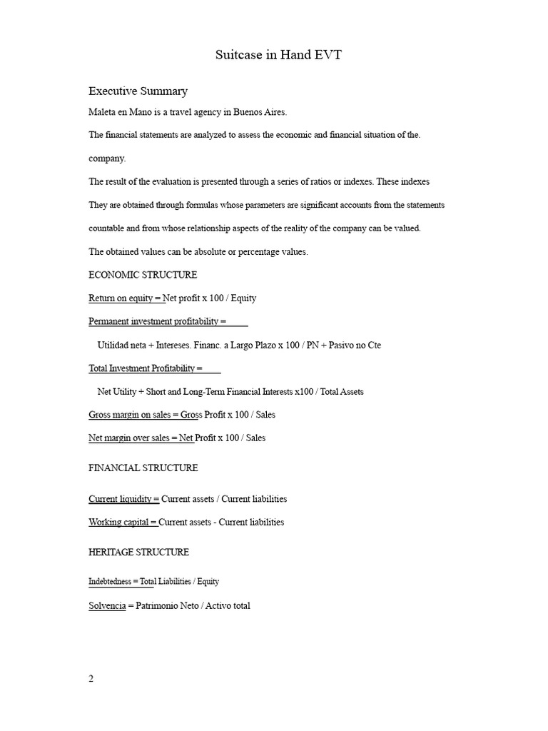 Example Analysis of Financial Statements of A Travel Agency | PDF ...