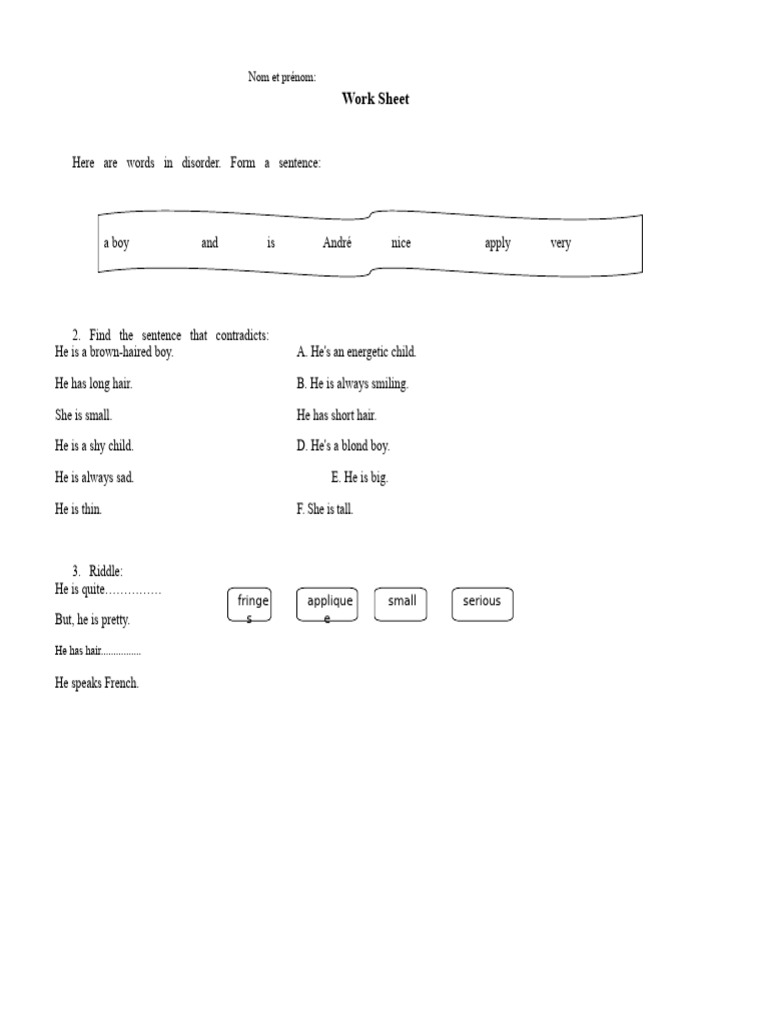 Work Sheet Describe - A - Person | PDF