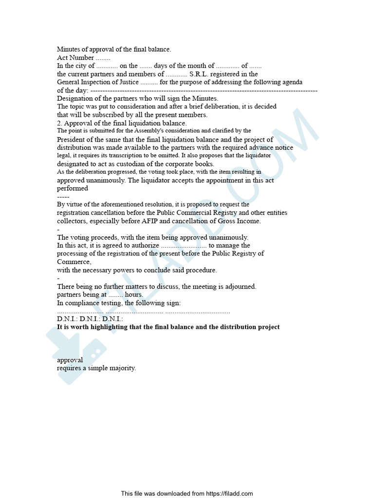 Final Balance Approval Minutes S.R.L. | PDF