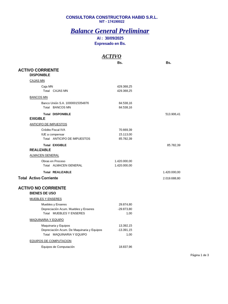 Balance General Habid S.R.L. 2025 | PDF | Valor neto | Hoja de balance