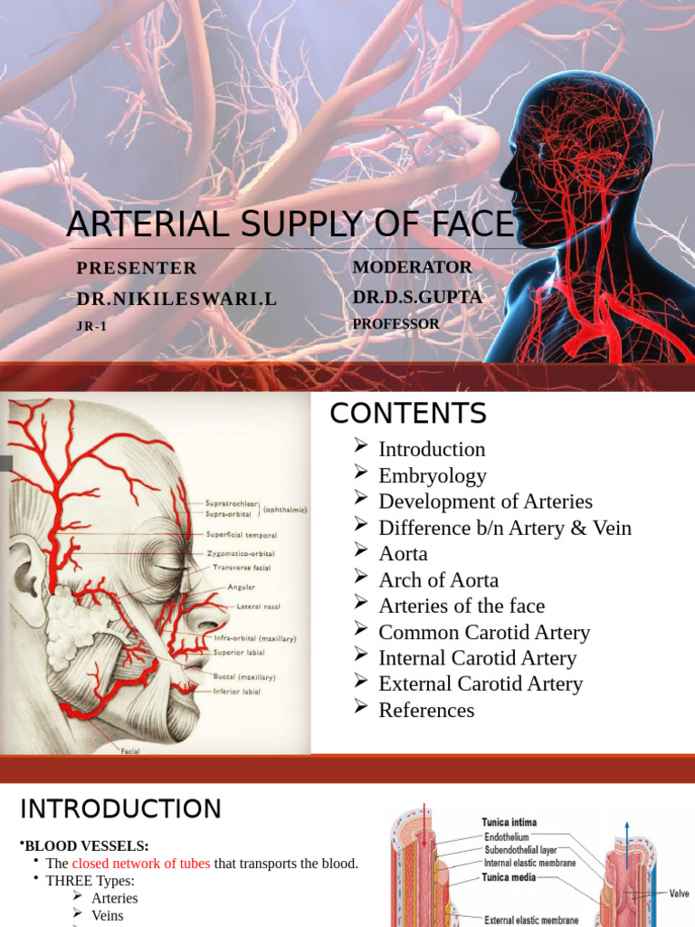 Arterial Supply of Face-1 | PDF | Common Carotid Artery | Aorta