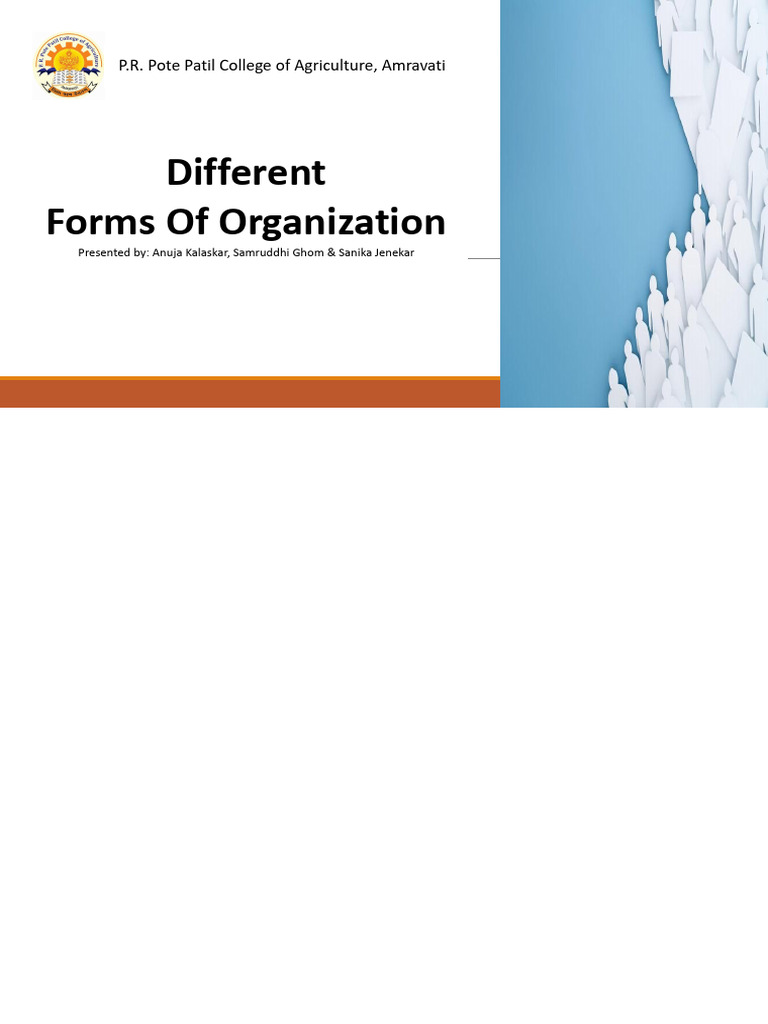Forms of Organization | PDF | Partnership | State Owned Enterprise