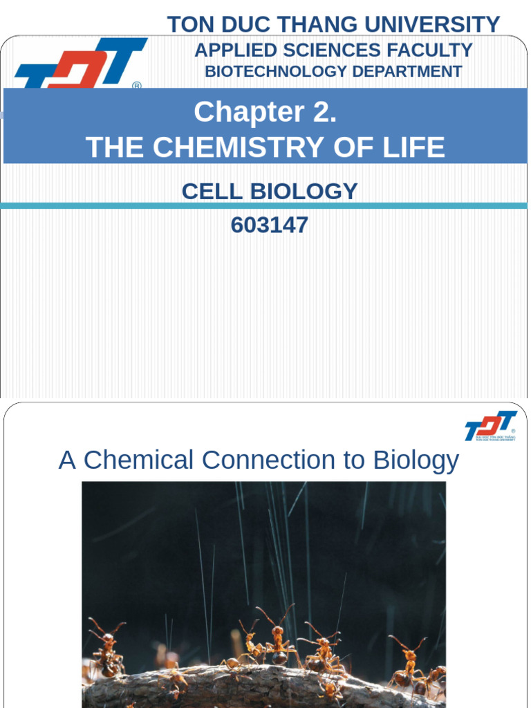 CB 2 The Chemistry of Life 92025 | PDF