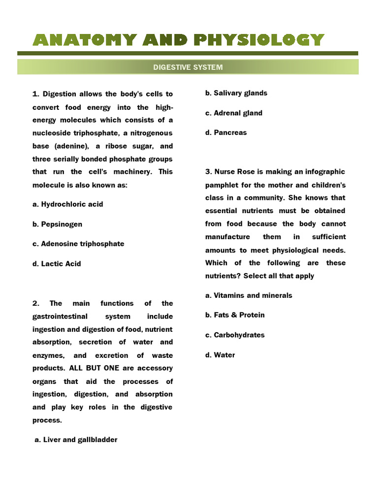 Anaphy Digestive System | PDF | Digestion | Small Intestine