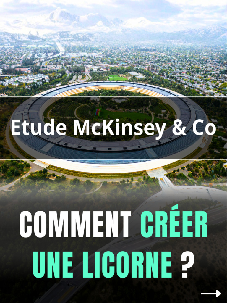 Faire Une Licorne Business
