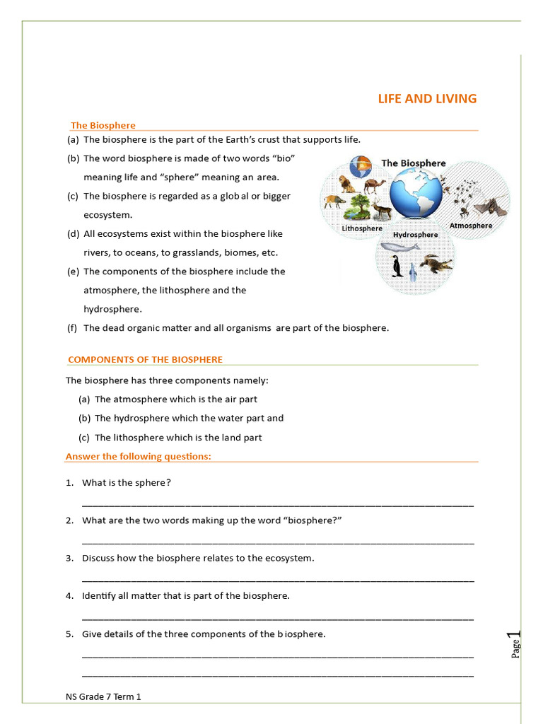 Understanding the Biosphere and Its Components | PDF | Flowers ...