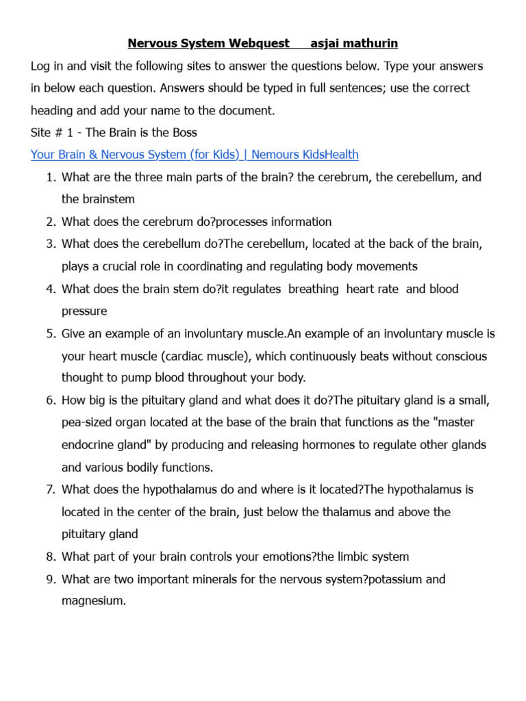 Nervous System Webquest (Rev2025) | PDF | Brain | Hypothalamus