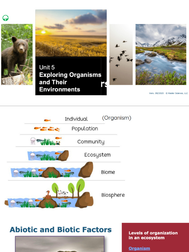 Exploring Organisms and Their Environment | PDF