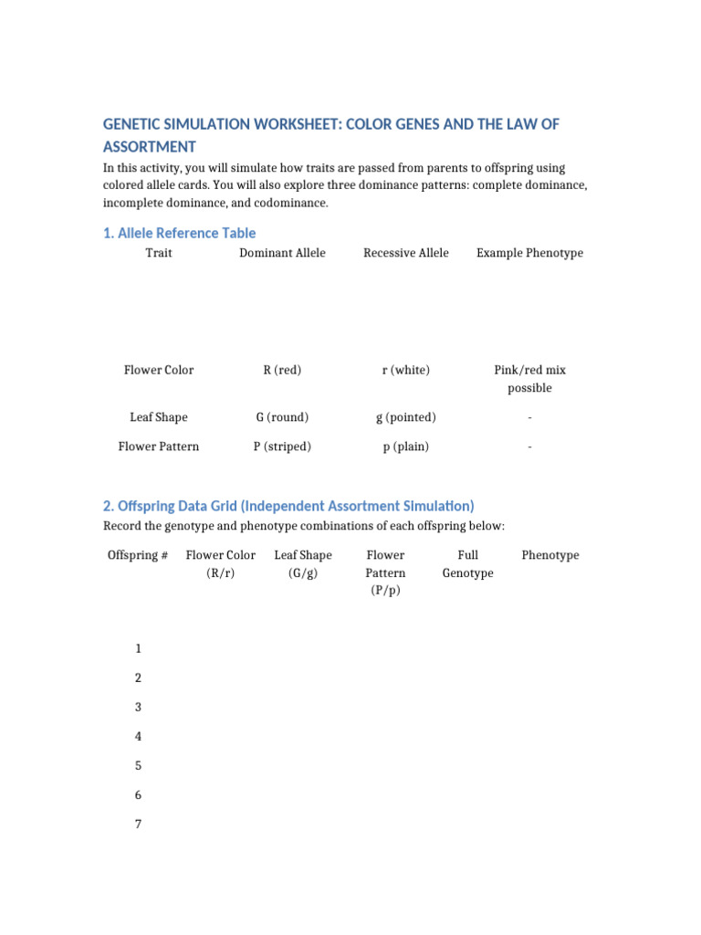 Genetic Simulation Worksheet Color Genes and Assortment | PDF