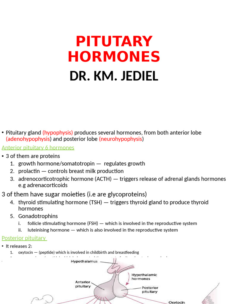 Pituitary Hormones | PDF | Growth Hormone | Luteinizing Hormone
