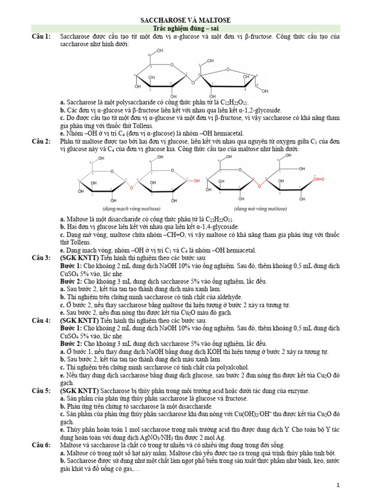 Saccharose Maltose TN Lo I 2,3 | PDF