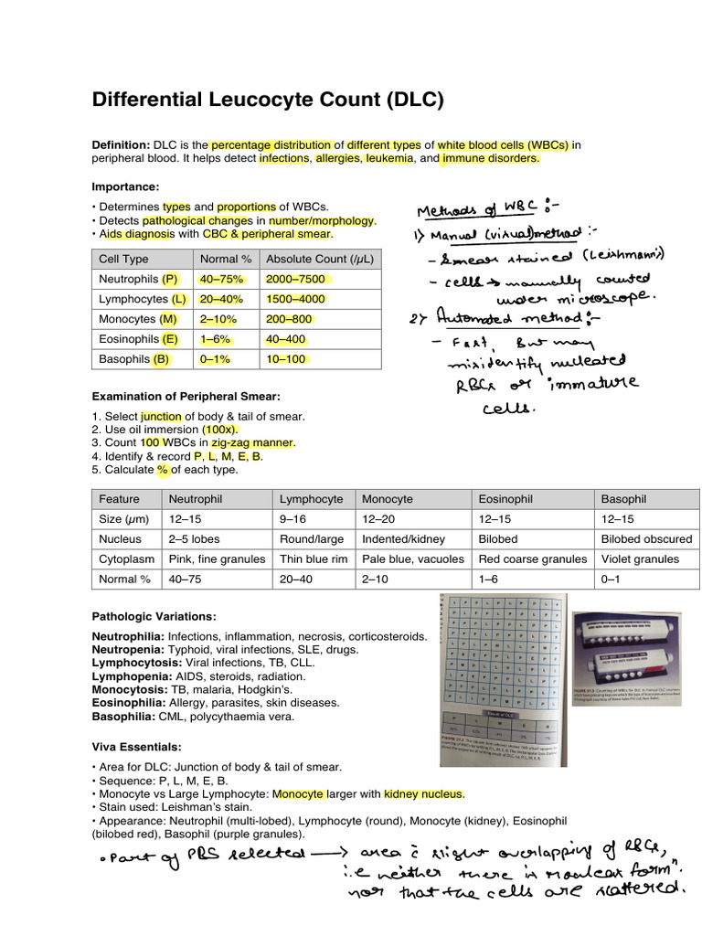 Differential Leucocyte Count Choti Copy 2 | PDF | White Blood Cell | Blood