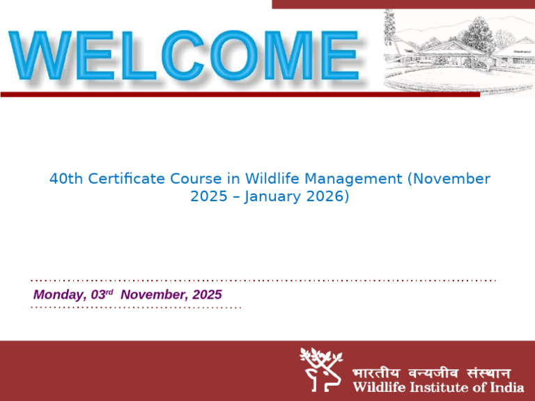 Welcome Slide WII | PDF