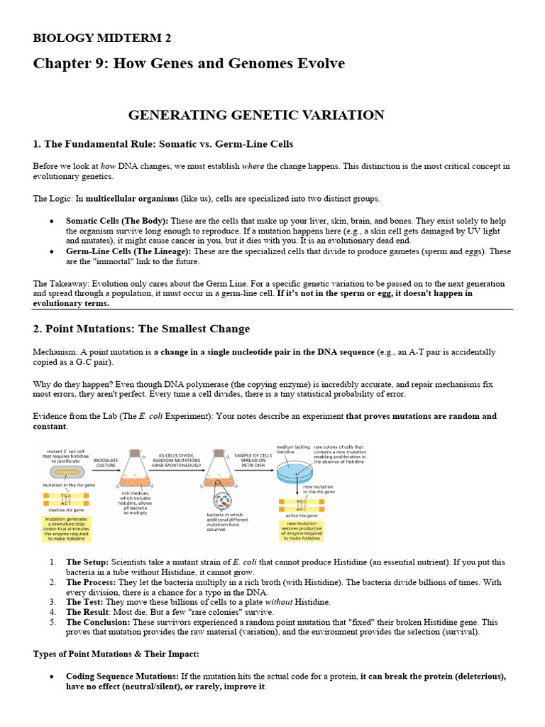 Biology Midterm 2 | PDF | Cell Signaling | Transposable Element
