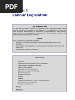 Understanding Individual Labour Law in SA | PDF | Equal Opportunity ...