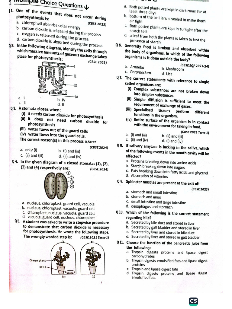 Bio Ch 5 | PDF