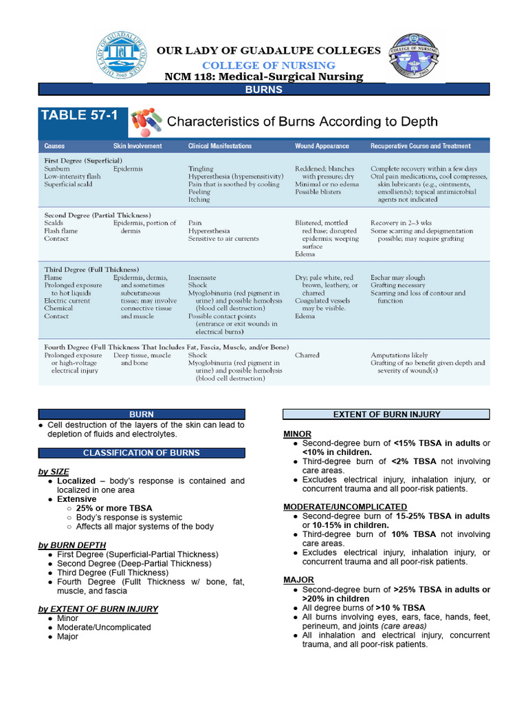 Burns and Emergency Nursing | PDF | Burn | Wound