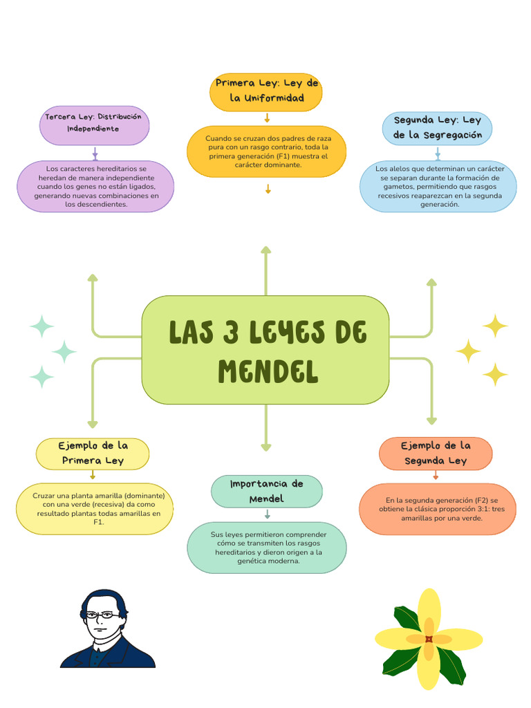 Documento A4 Organizador Gráfico Sencillo Colorido Verde y Naranja | PDF