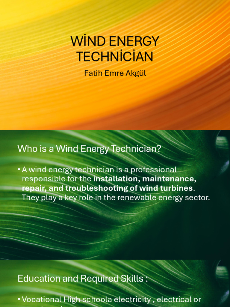Presentation 3 | PDF