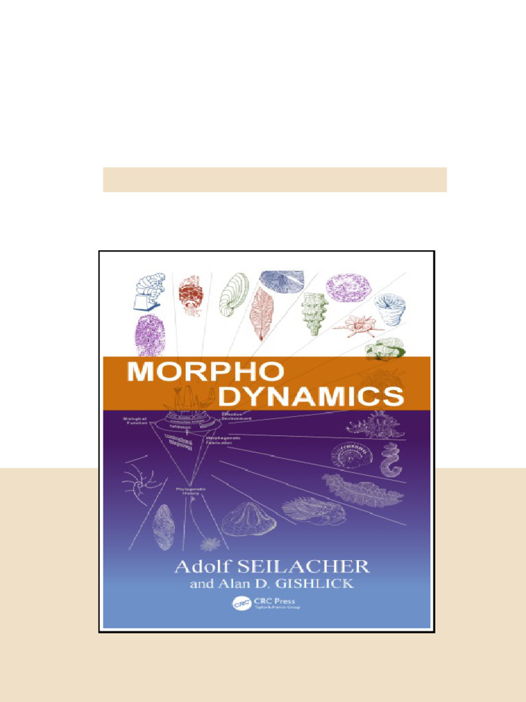 Morphodynamics Adolf Seilacher Alan D Gishlick full digital chapters ...