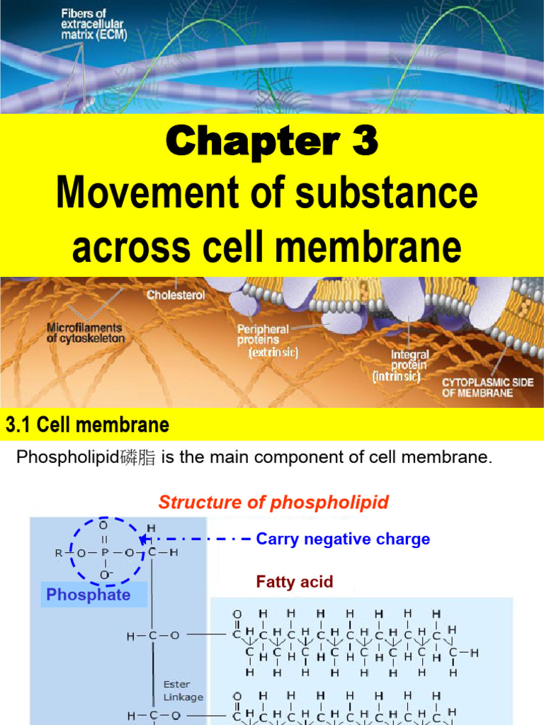 Chapter 3 Movement of Substance Across Cell Membrane_student | PDF ...