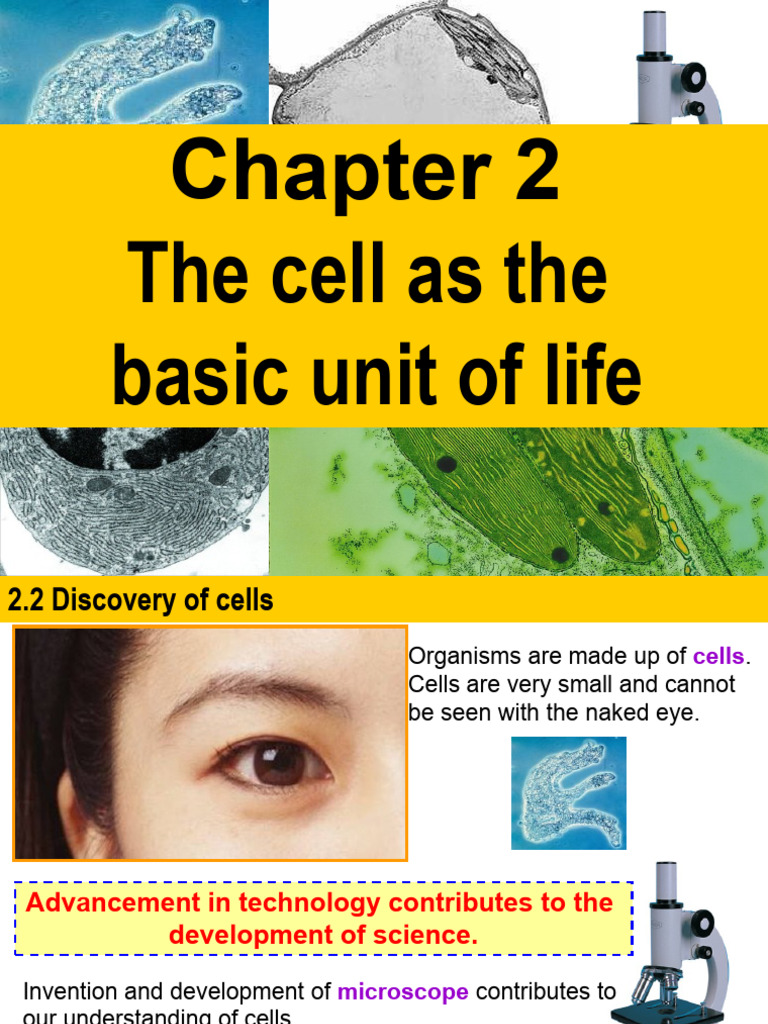 Chapter 2 the Cell as the Basic Unit of Life_student | PDF ...