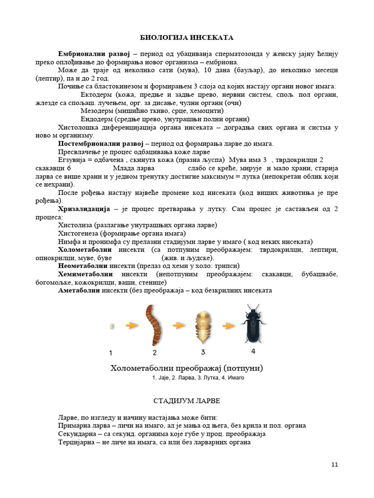 Opsta Entomologija - Biologija I Ekologija | PDF